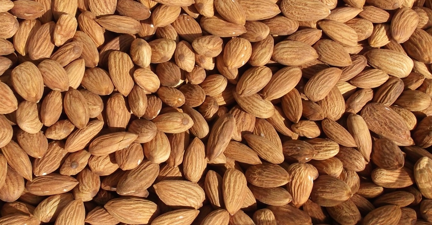 Premium Australian Almonds Exporter - Quality You Can Trust